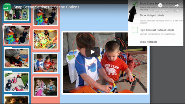 Snap Scene Settings: Scene Options - Tobii Dynavox ES